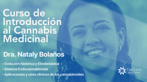 Teachlr Introducción Al Cannabis Medicinal